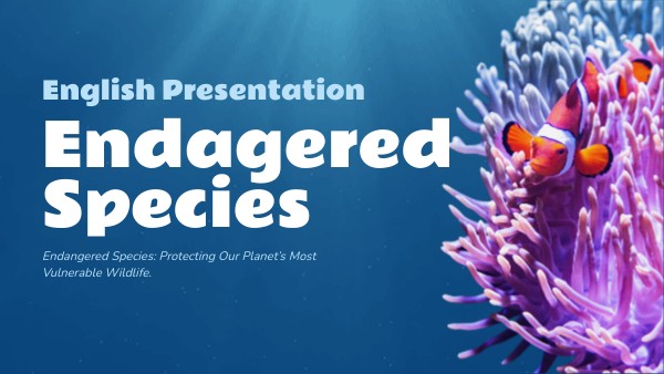 Marine Presentation | Genially