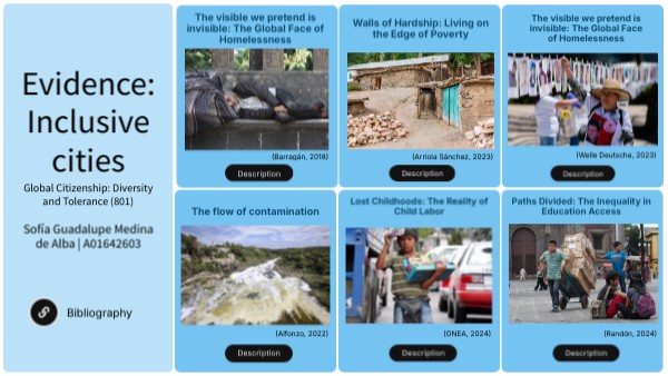 Evidence: Inclusive cities