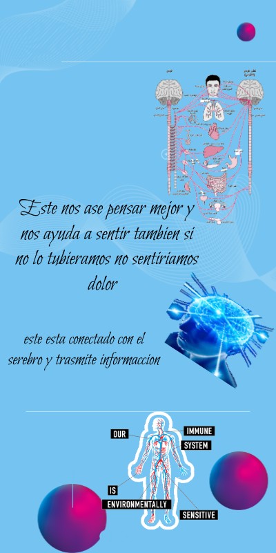 Infografia Tecnológica