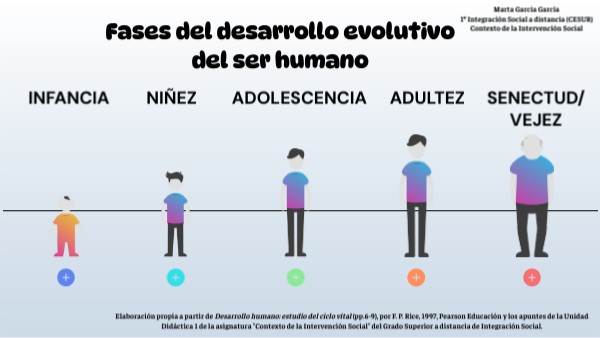 Fases Del Desarrollo Evolutivo Del Ser Humano