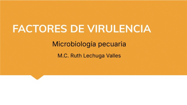 4. Factores de Virulencia.pptx | Genially