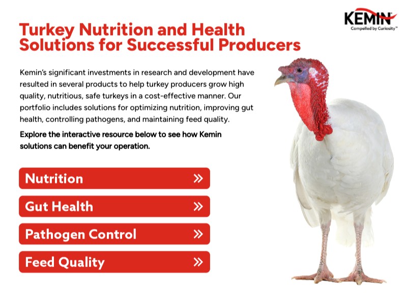 Turkey Nutrition and Health Solutions 11-04-24