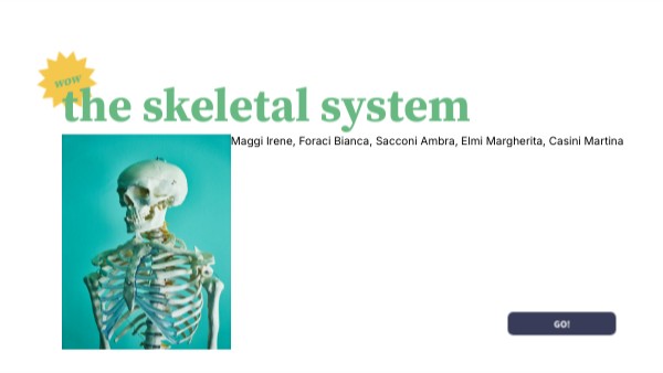 the skeletal system