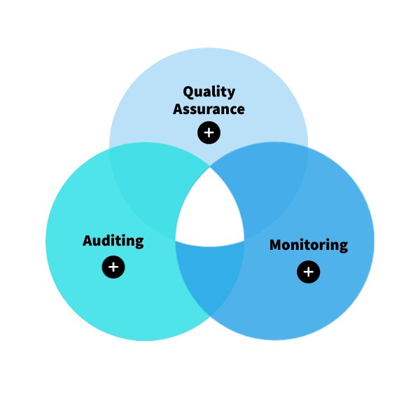 QA v. Auditing v. Monitoring