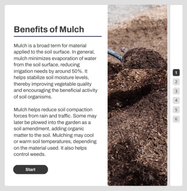 Step by Step Manual | Genially