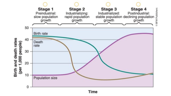 Demographic Transition