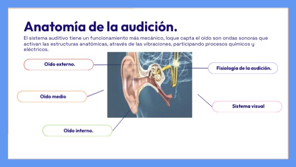 ANATOMÍA DEL OÍDO | Genially