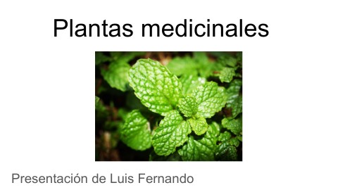 Plantas medicinales y para que sirven