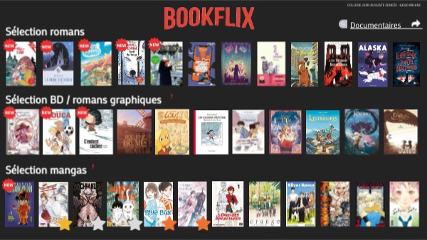 Bookflix - novembre 2024