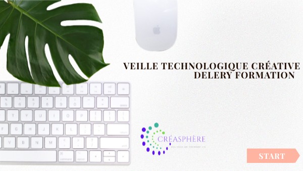 VEILLE DELERY FORMATION