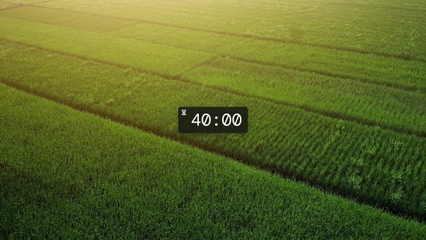 Presentación D'Huerta