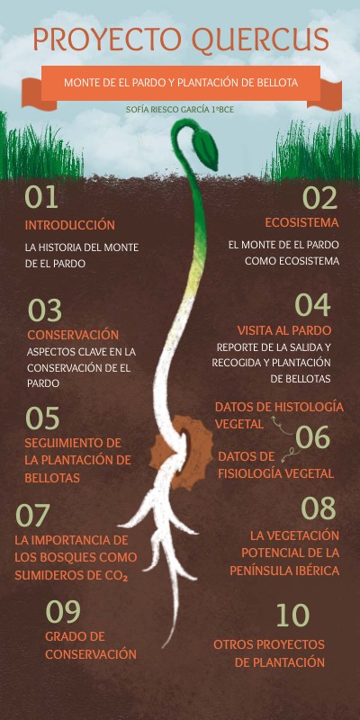 PROYECTO QUERCUS