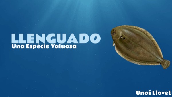 Presentación Llenguado Unai Llovet