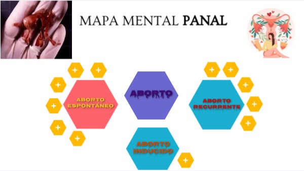 Mapa Mental Panal
