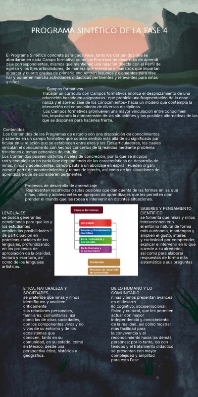 Programa Sintético de la Fase 4 | Genially