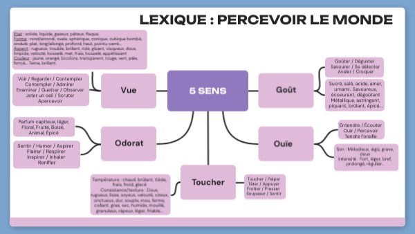Lexique des 5 sens