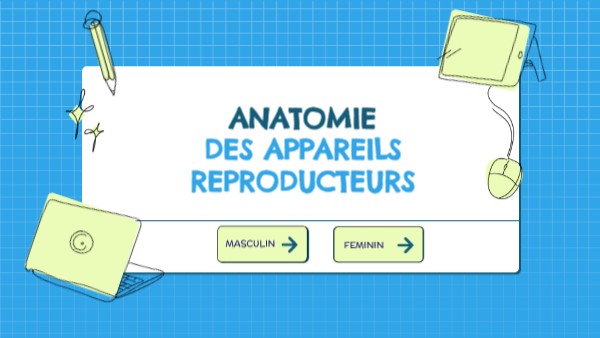 4° Chap 2 - Anatomie appareils reproducteurs