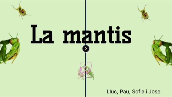 La mantis