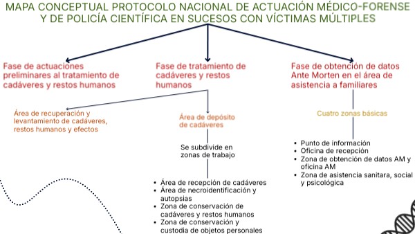 MAPA CONCEPTUAL PROTOCOLO NACIONAL DE ACTUACIÓN | Genially
