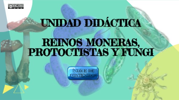 UNIDAD DIDÁCTICA REINO MONERA,PROTOCTISTA Y FUNGI | Genially