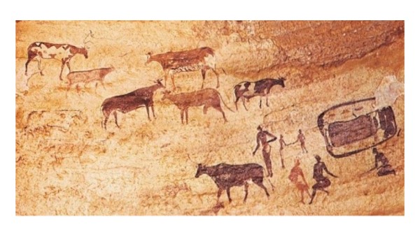 Squares Diagram | Genially