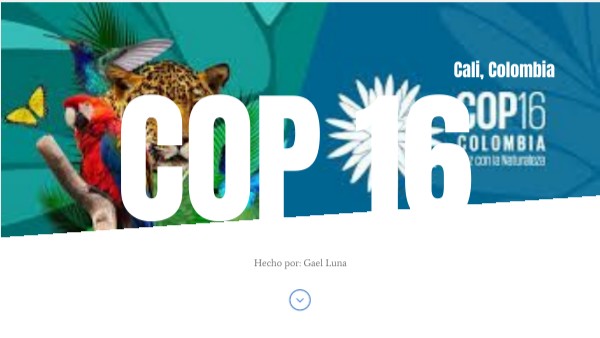 COP 16