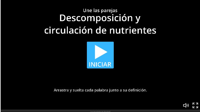 Capítulo 21 | Genially