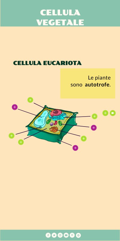 CELLULA VEGETALE | Genially