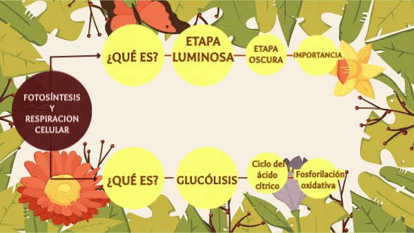FOTOSINTESIS Y RESPIRACION CELULAR