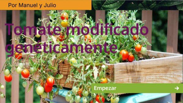 Alimentos saludable | Genially