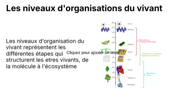 Les niveaux d'organisation du vivant | Genially