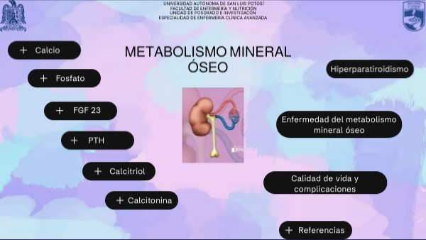 Infografia interactiva metabolismo mineral óseo