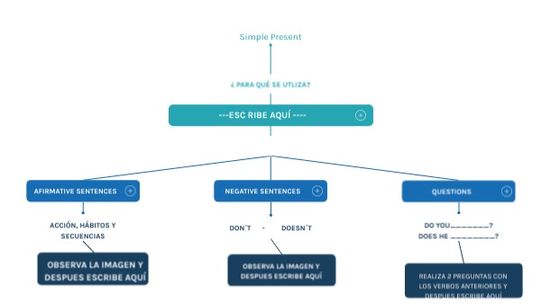 Mapa Conceptual Presente simple | Genially