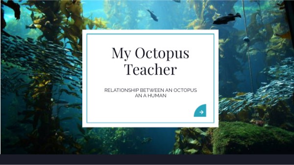 My Octopus teacher