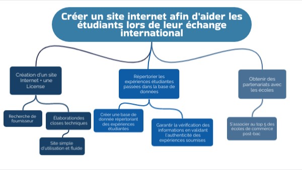 Carte mentale schéma vertical