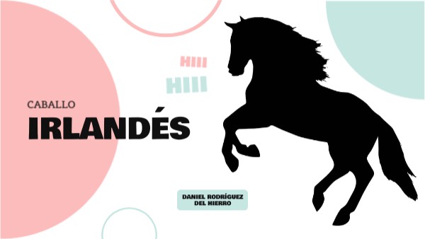 CABALLO IRLANDÉS TRABAJO RAZAS