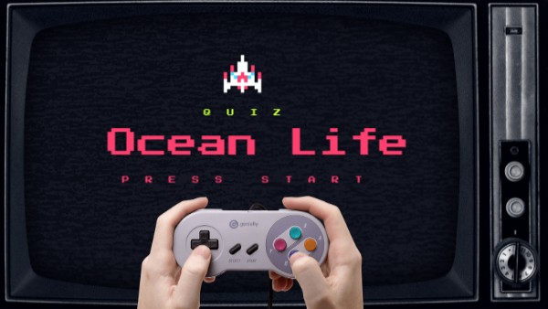 Quiz océan life