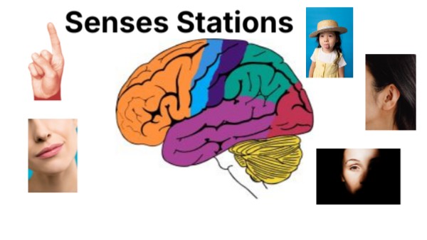 Senses Stations