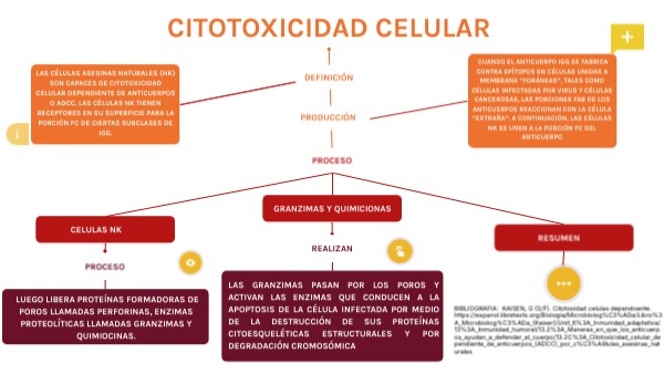 citotoxicidad | Genially