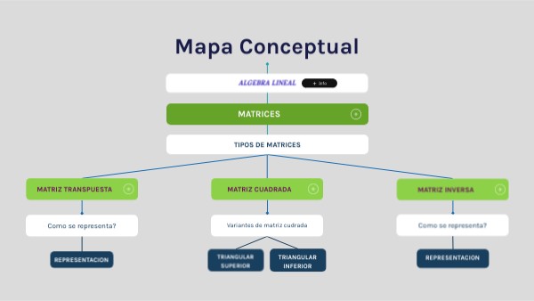 MAPA CONCEPTUAL Matrices