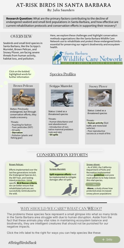 At Risk Birds | Genially