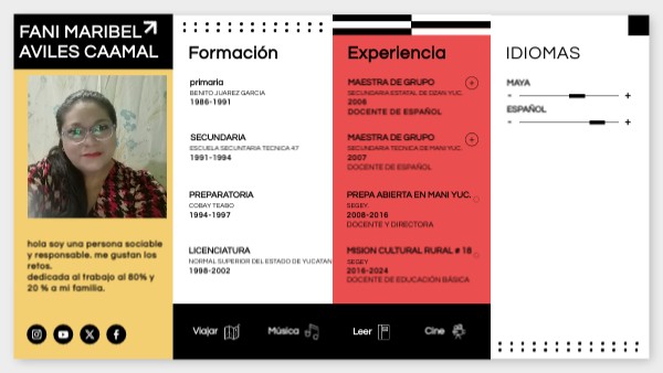 CV COMPACTO FANI AVILES