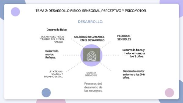 VIDEO- ESQUEMA: TEMA 2.