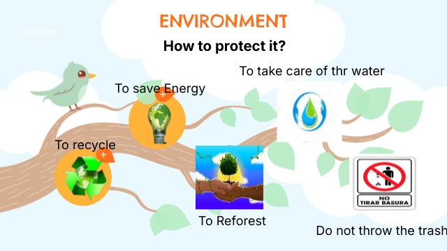 The Environment | Genially