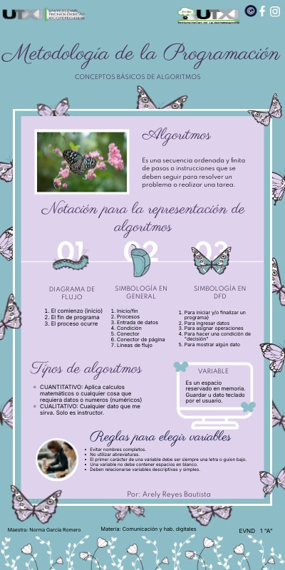 Infografía de metodología de la programación