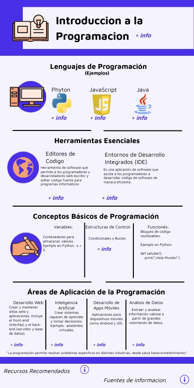 Infografia Programacion | Genially