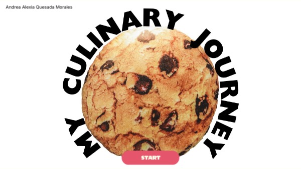 My culinary journey