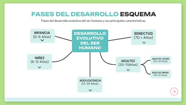 Esquema Fases del Desarrollo | Genially