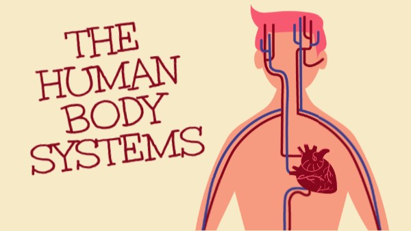 The Nervous System