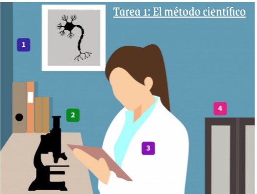 Paula_perez_M2_Act_1